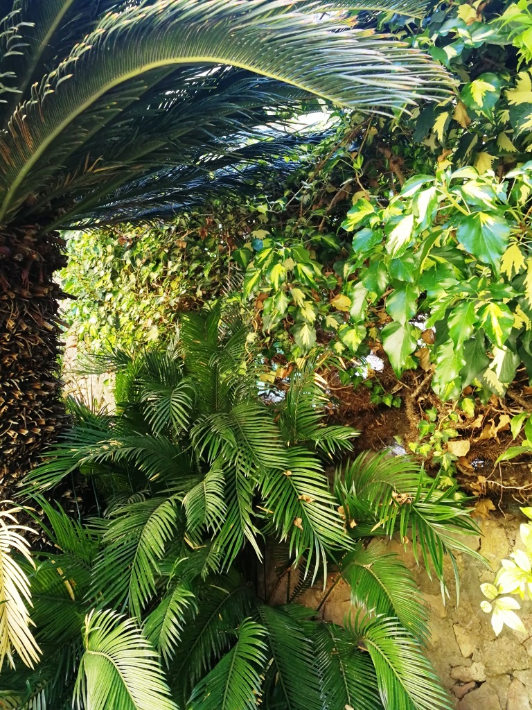 EL MOSCARD QUE INTERROMP LA LECTURA - marginàlies