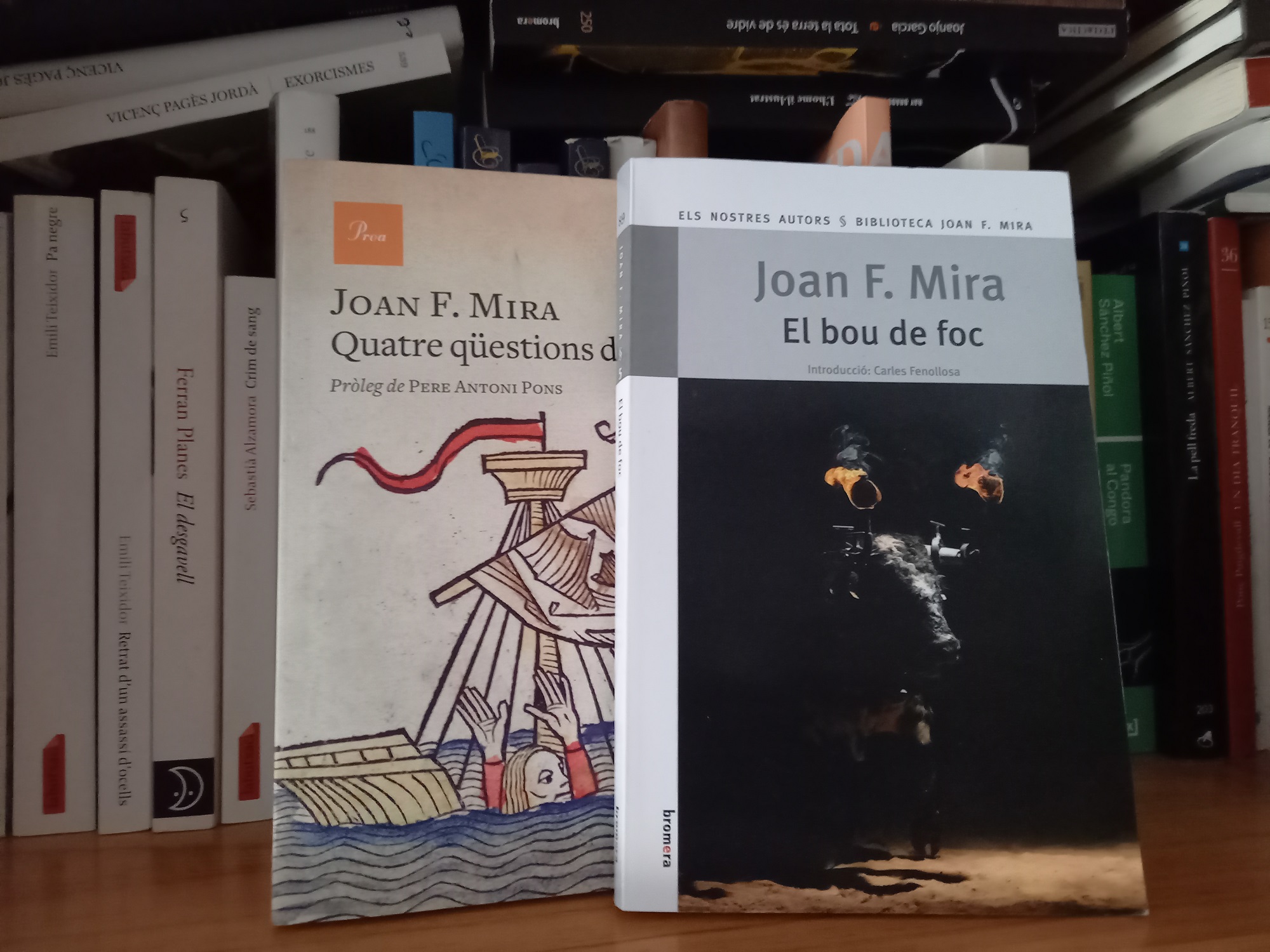 El bou de foc, de Joan Francesc Mira. - Entre el Túria i el Ridaura