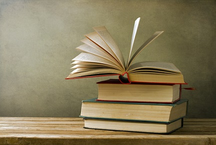 Parlar (bé) de llibres i de qui els escriu: reflexions d’un crític ...