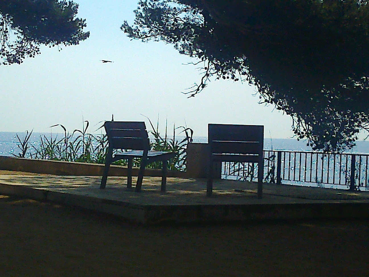 Sant Feliu de Guíxols- Sa Conca-Vall d’Aro- Sant Feliu. - Entre el ...