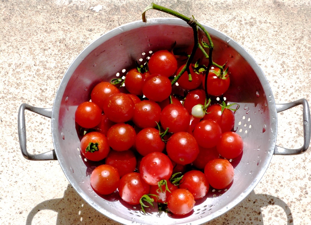 “una tomaca amanida, la trobaràs beneïda” (a un aliment sa i a punt per ...